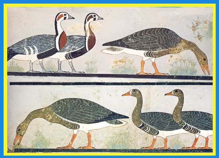 Solve The Meidum Geese is one of the most beautiful examples of ancient ...