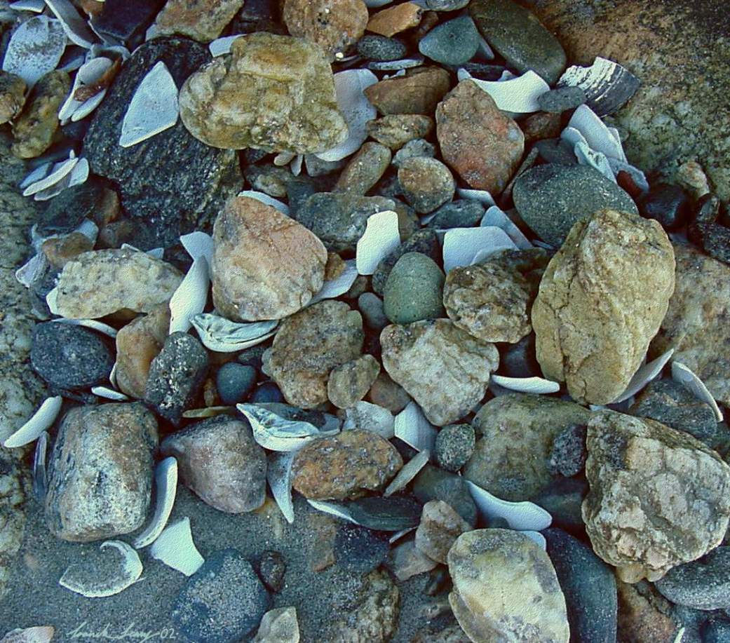 Solve Shells & Rocks Popham Beach State Park jigsaw puzzle online with ...