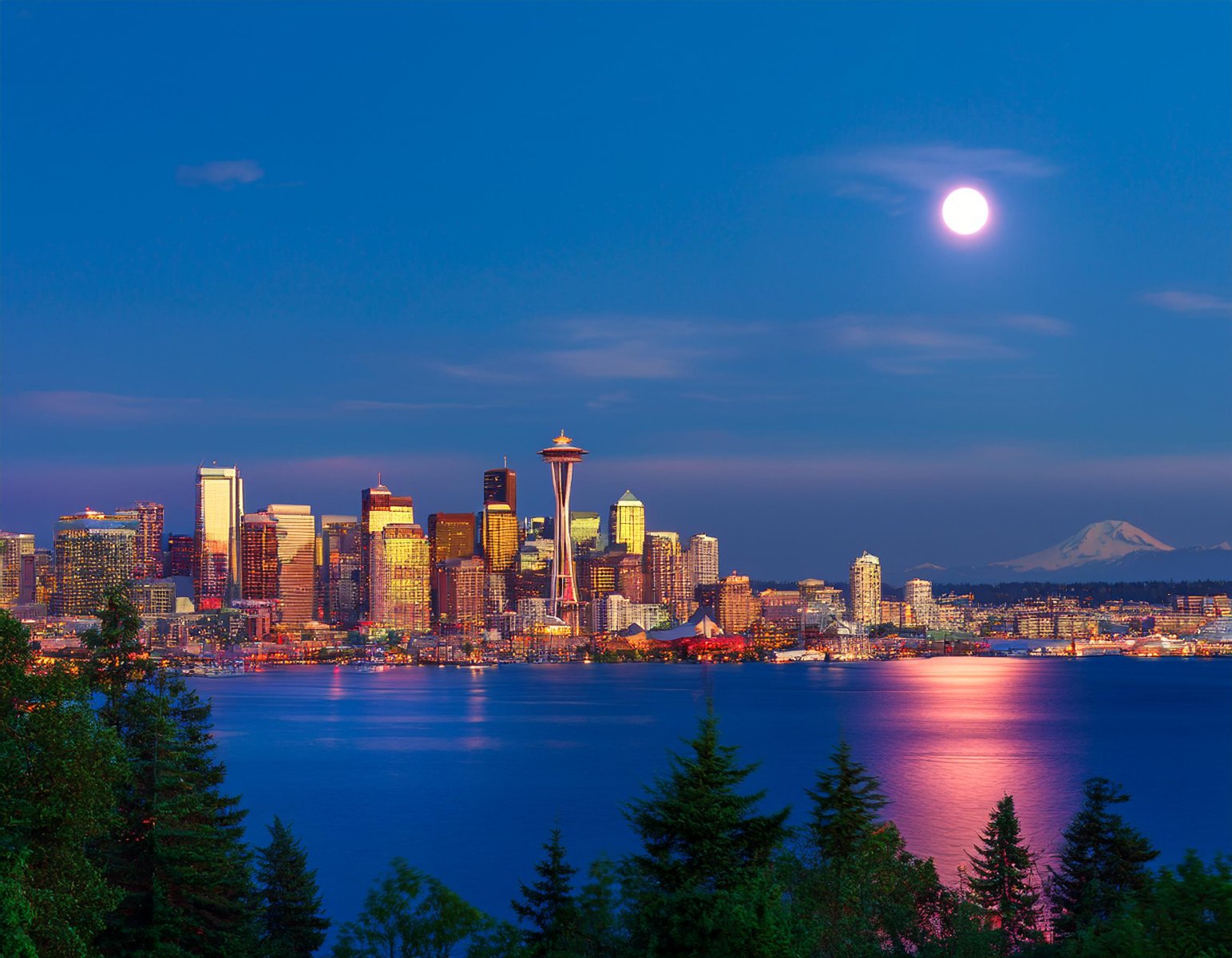Solve Seattle Skyline jigsaw puzzle online with 48 pieces