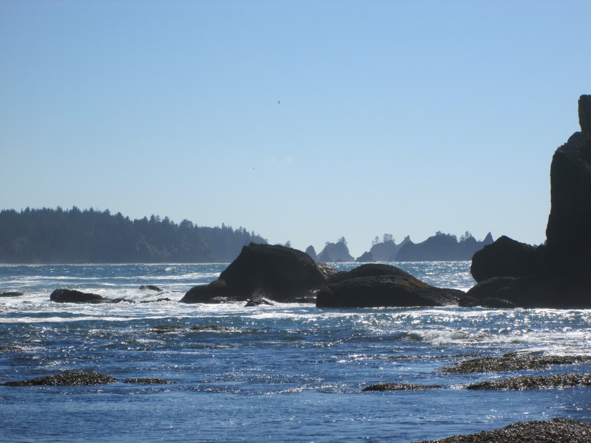 Solve Pacific Ocean, Olympic National Park, Washington state jigsaw ...