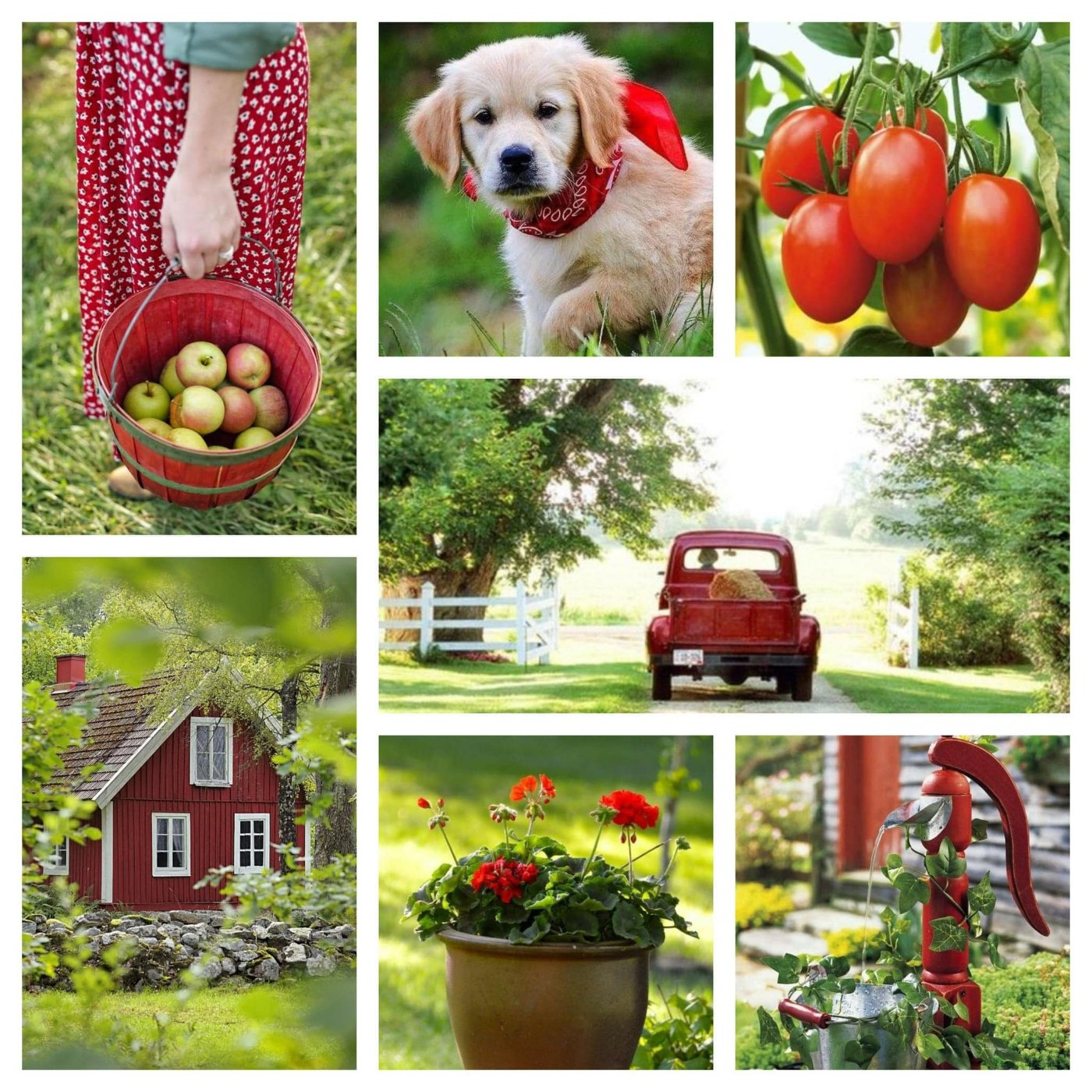 Solve mosaico rosso jigsaw puzzle online with 49 pieces