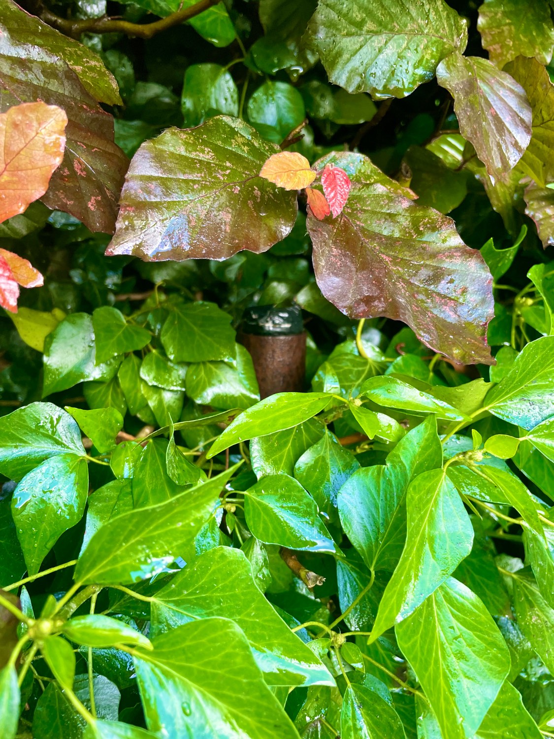 Solve Une cache dans une cache jigsaw puzzle online with 500 pieces