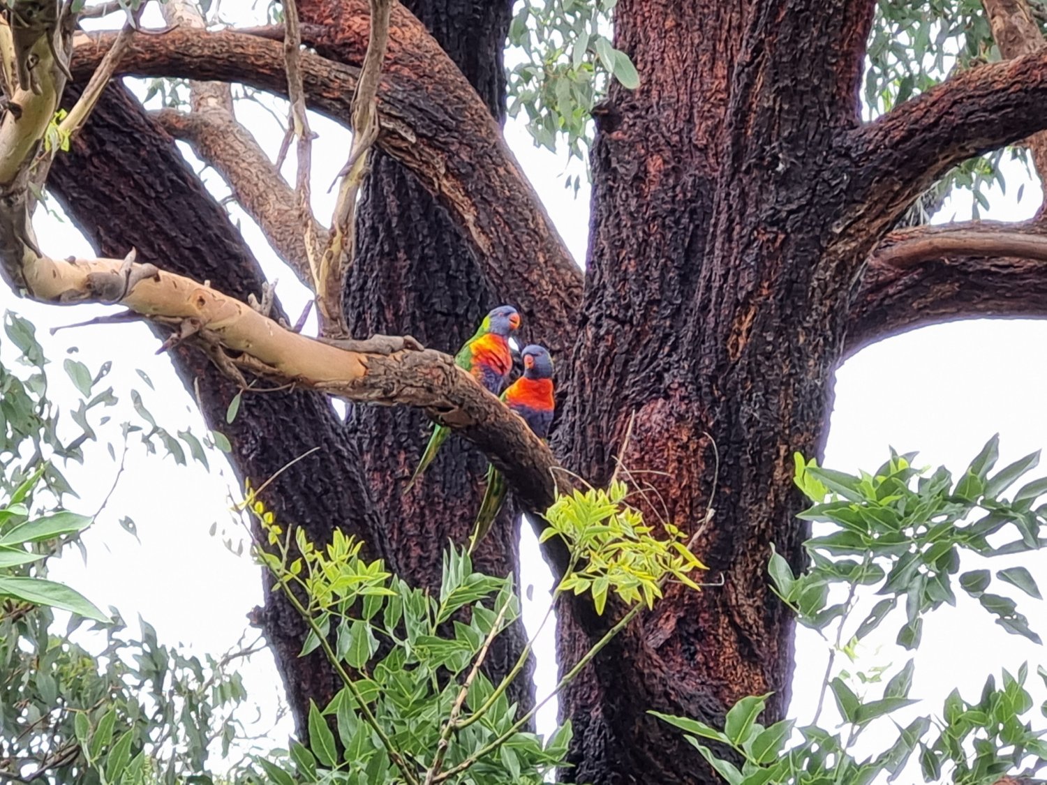 Solve The Winners! jigsaw puzzle online with 30 pieces