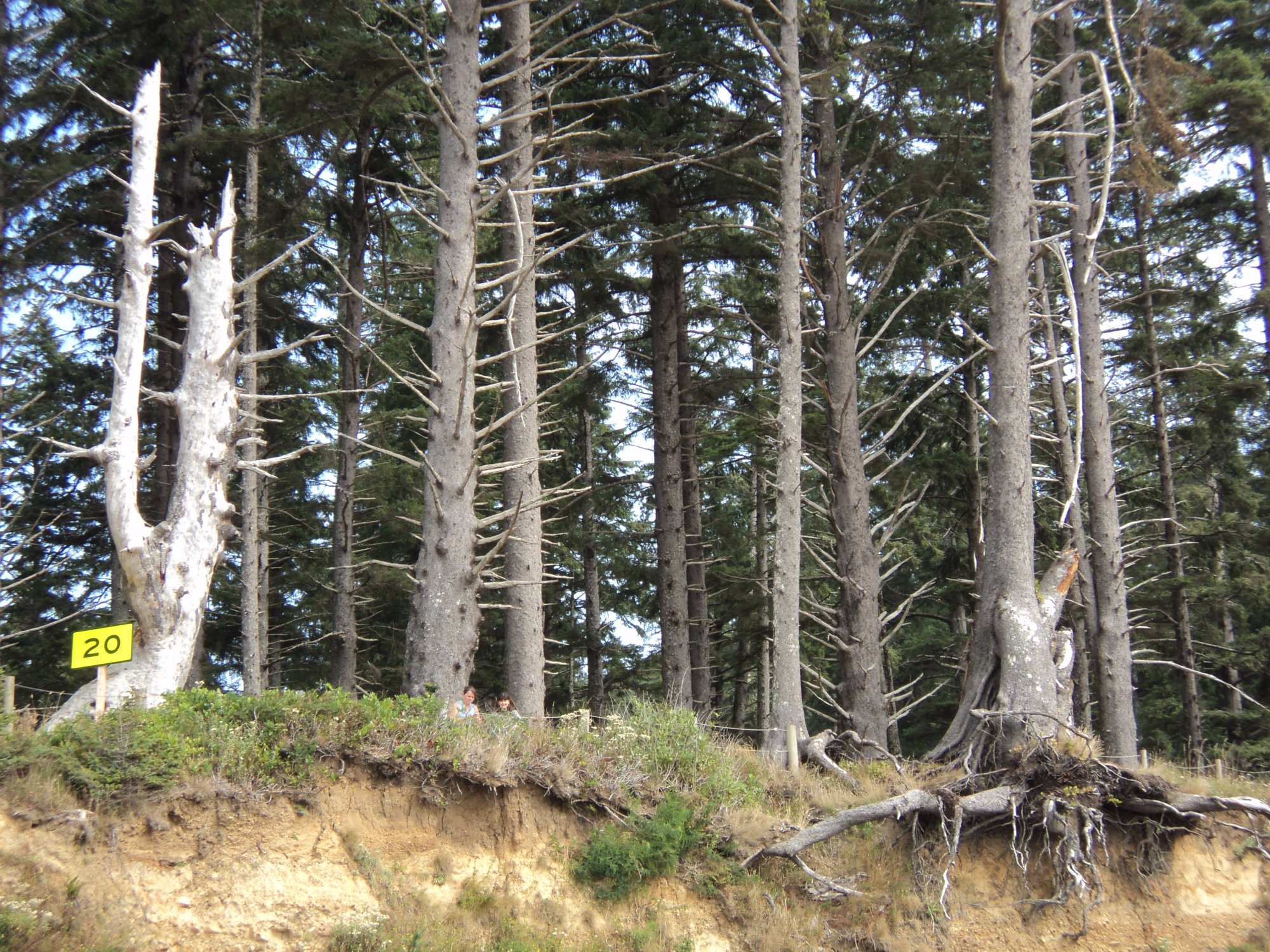 Solve living on the edge... jigsaw puzzle online with 546 pieces