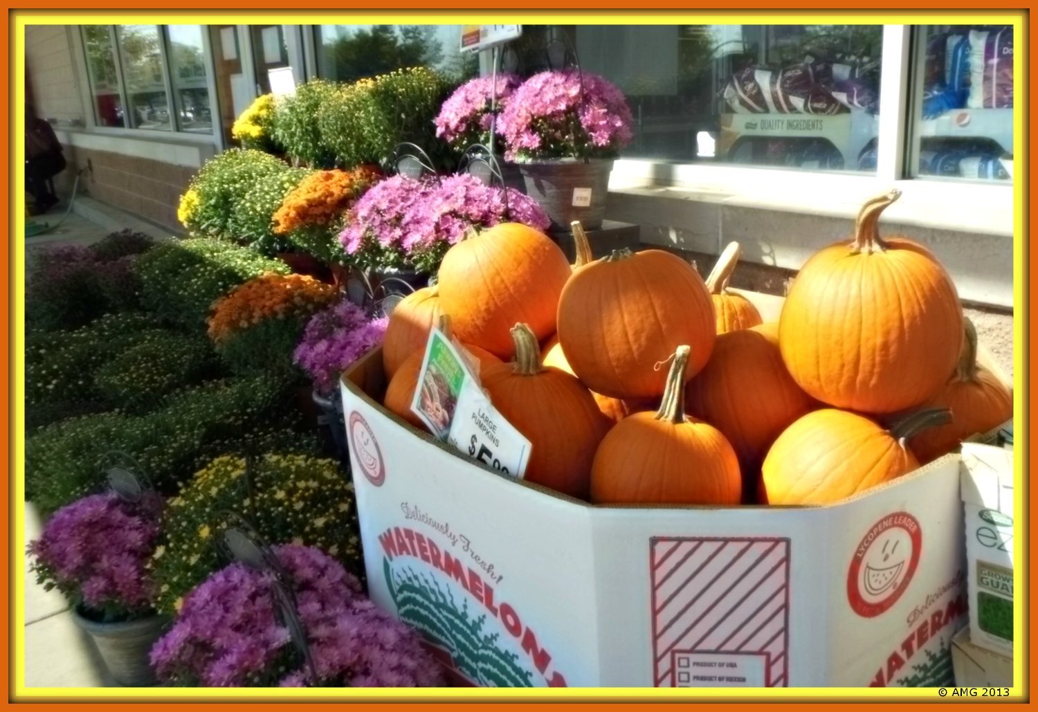Solve Pumpkins & Mums jigsaw puzzle online with 12 pieces