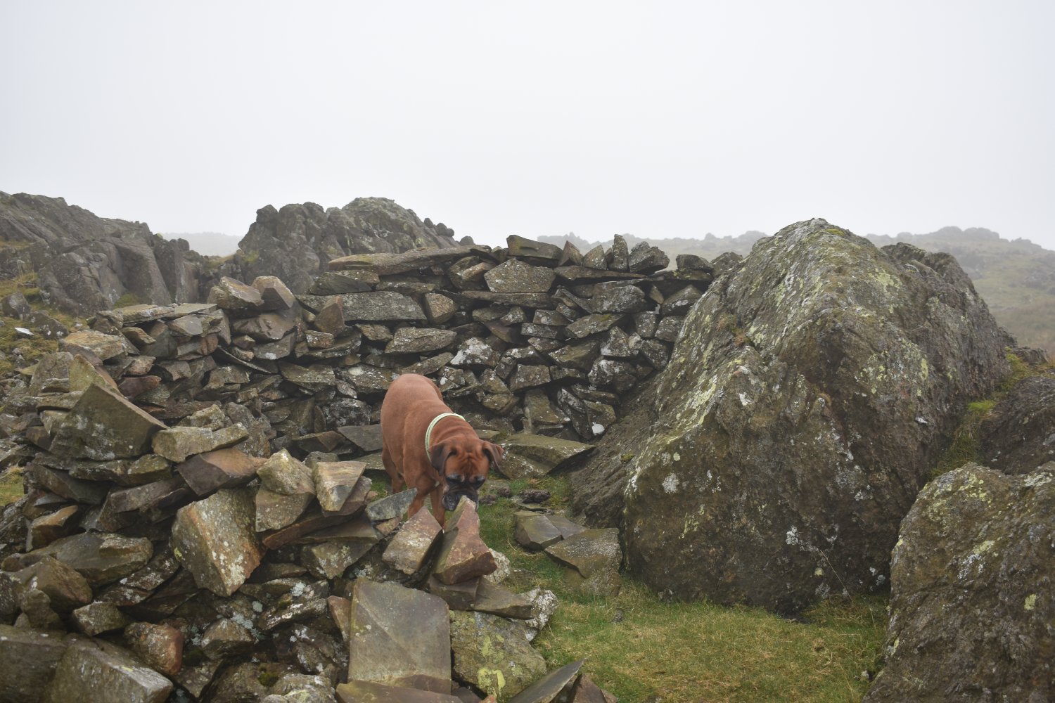 Solve ☁The shelter cairn on the summit of Grey Friar.☁ jigsaw puzzle ...