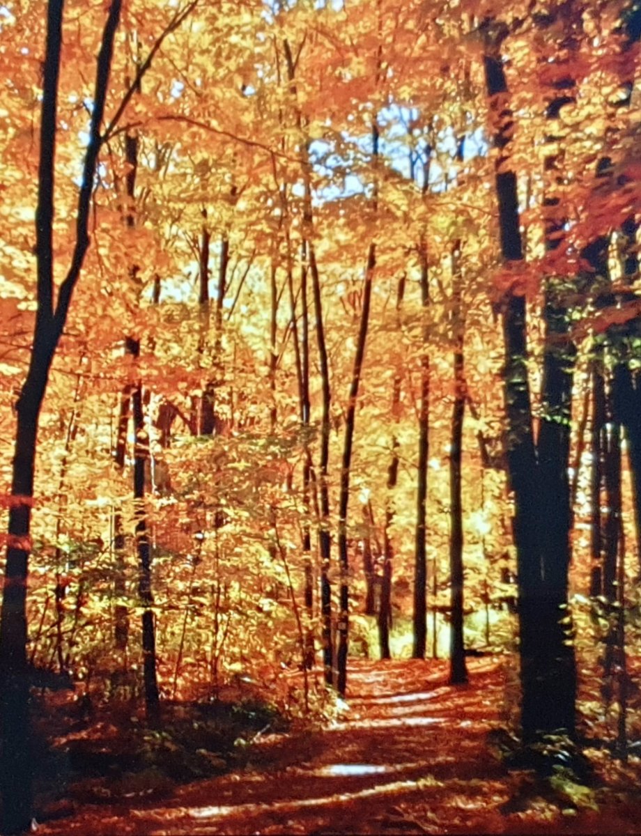 Solve THE WIND 1971 jigsaw puzzle online with 30 pieces