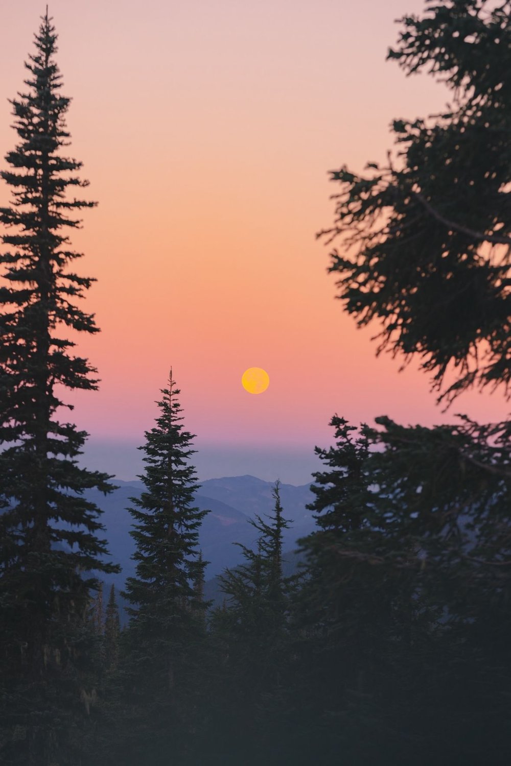 Solve Sunset jigsaw puzzle online with 176 pieces
