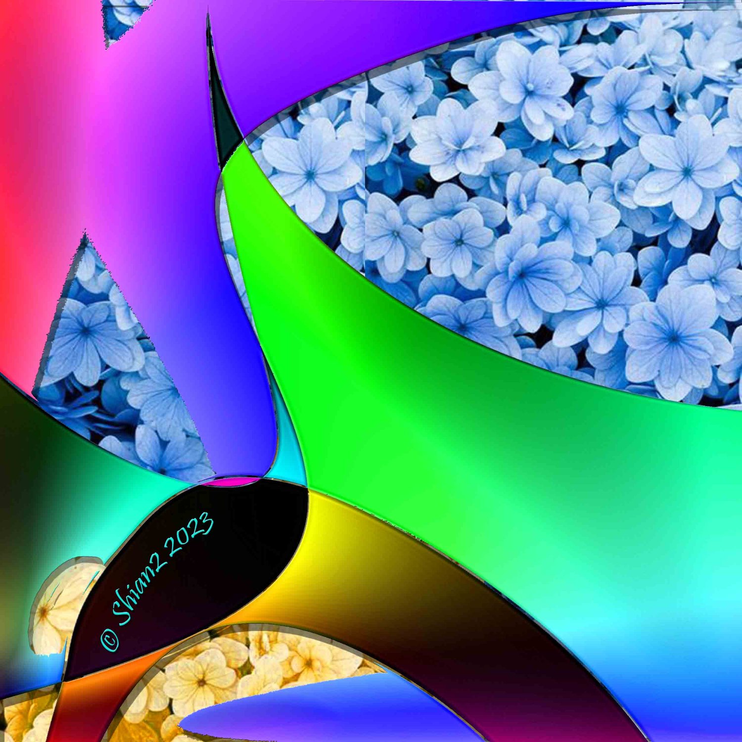 Solve Blue Flowers jigsaw puzzle online with 225 pieces