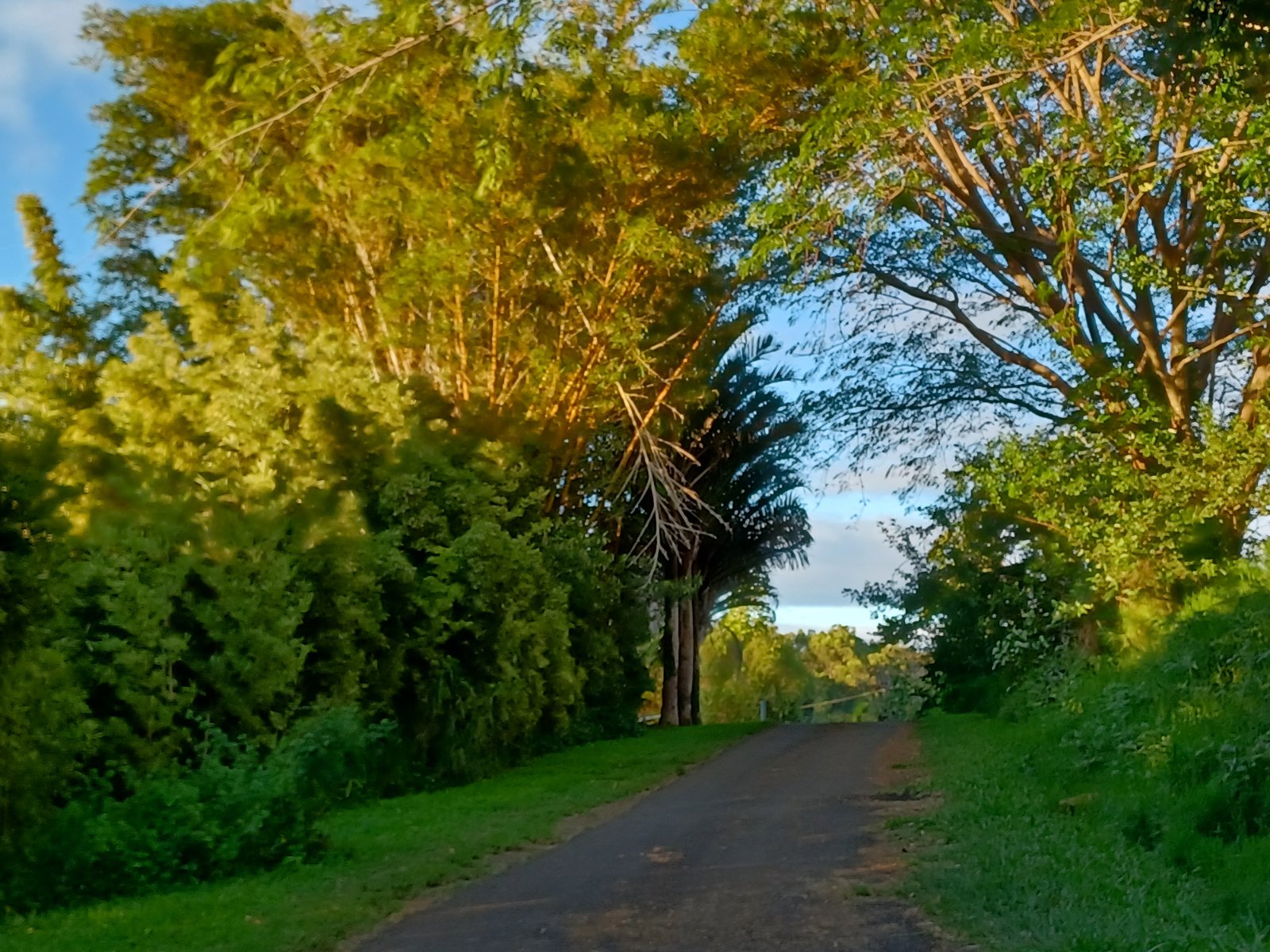 Solve It's getting late, and my pockets are weighed down with wild ...