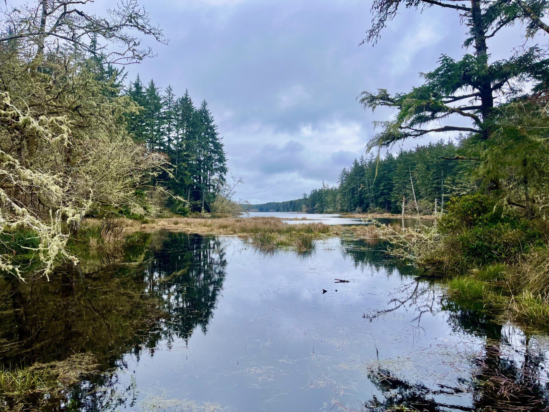 Jigsaw Puzzle | 396 pieces | Fort Stevens Wetlands | Jigidi