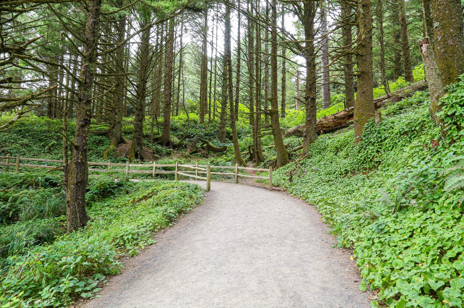 Jigsaw Puzzle | TRAIL TO THE LIGHTHOUSE | 96 pieces | Jigidi