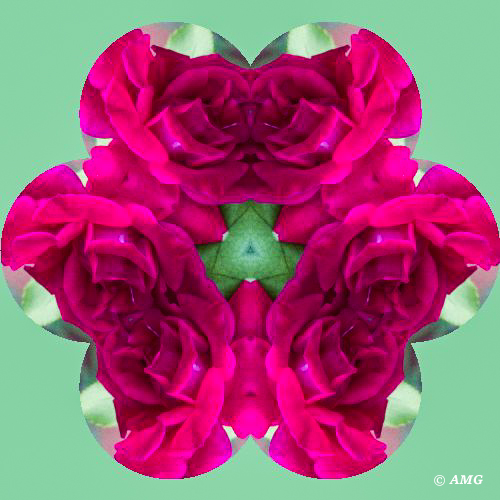 Solve Pinocchio Rose Kaleido jigsaw puzzle online with 25 pieces