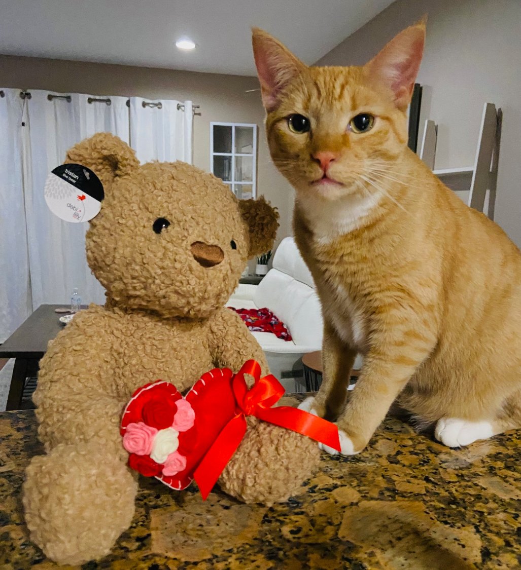 Solve Ted's says 'Happy Valentine's Day' jigsaw puzzle online with 25 ...