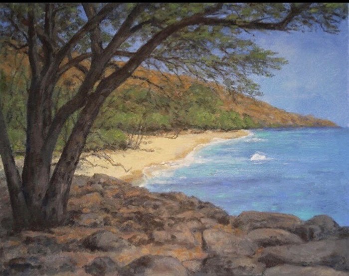 Solve Papalaua Beach Maui jigsaw puzzle online with 99 pieces