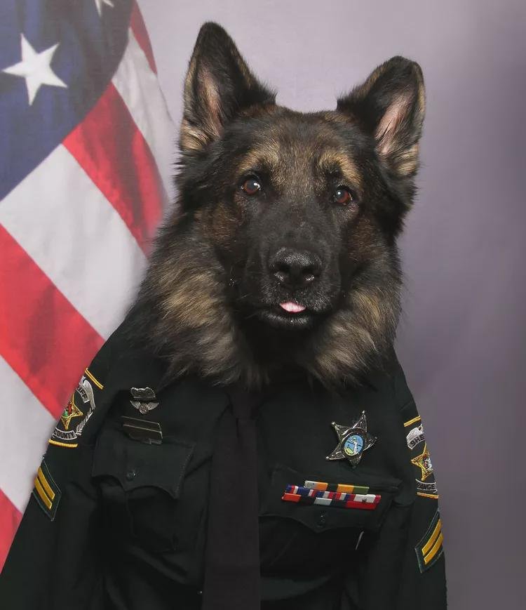 Solve Officer Chico in regulation uniform. His official appearance ...