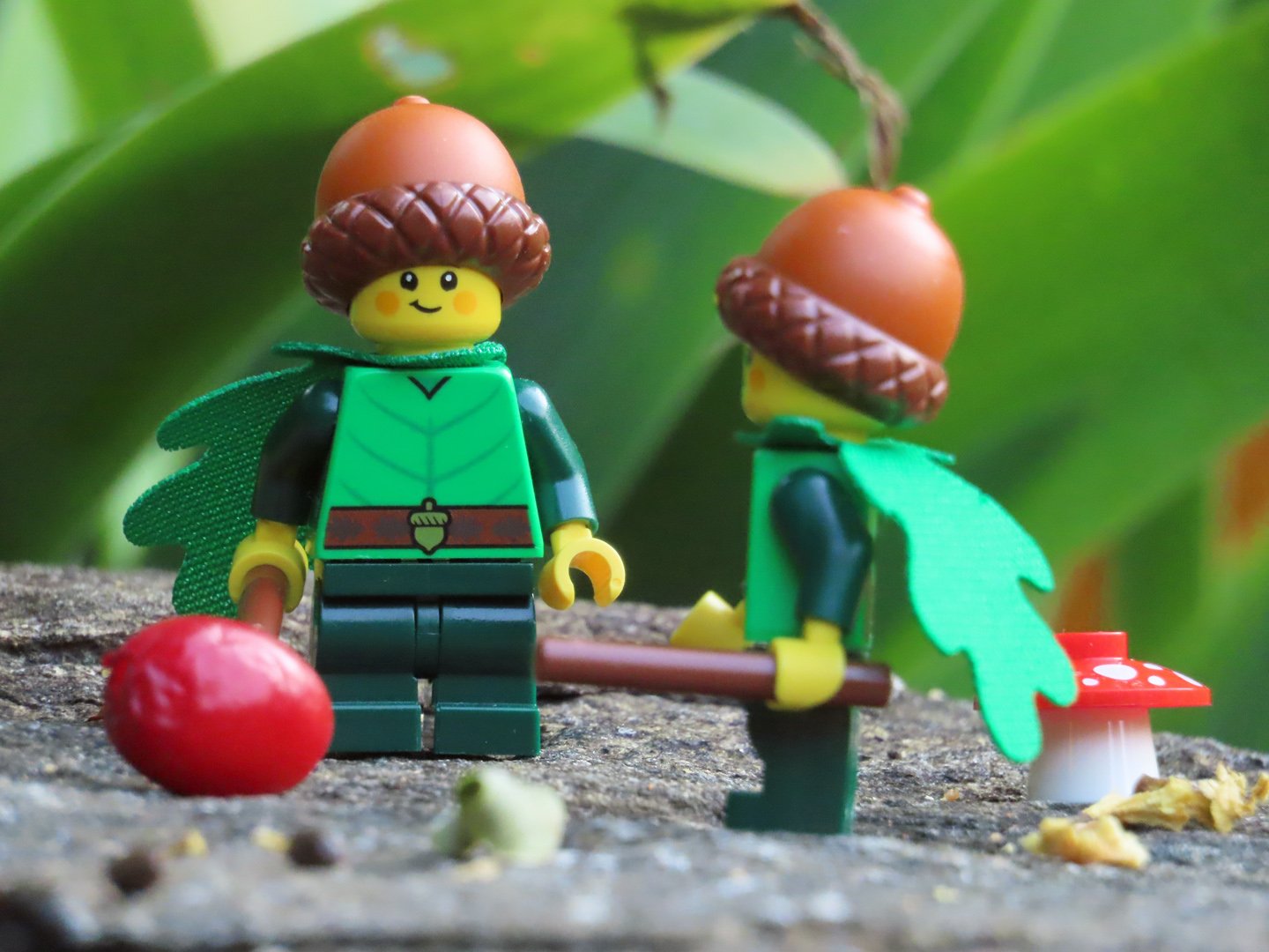 Solve Lego Acorn Folks jigsaw puzzle online with 88 pieces