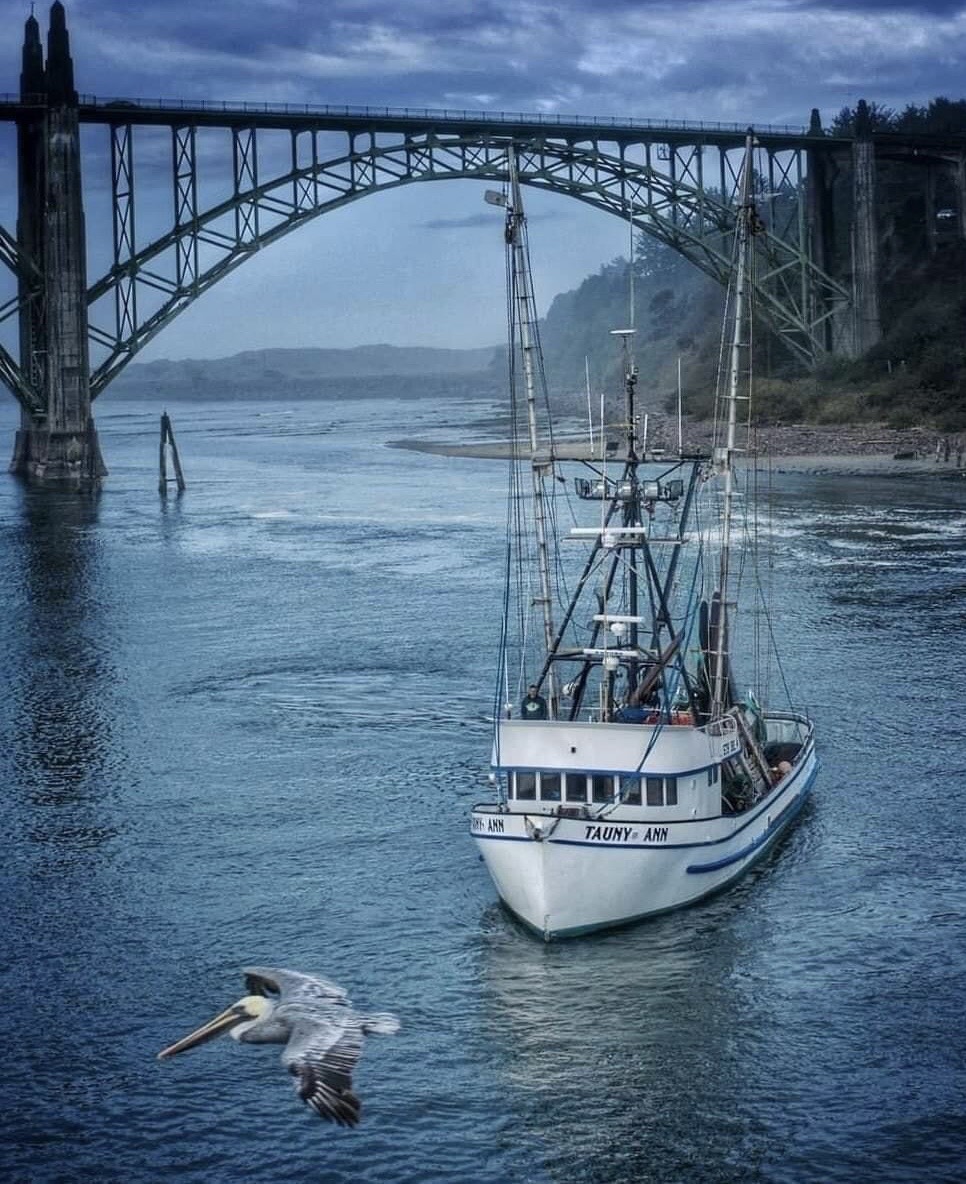 Solve Oregon jigsaw puzzle online with 180 pieces