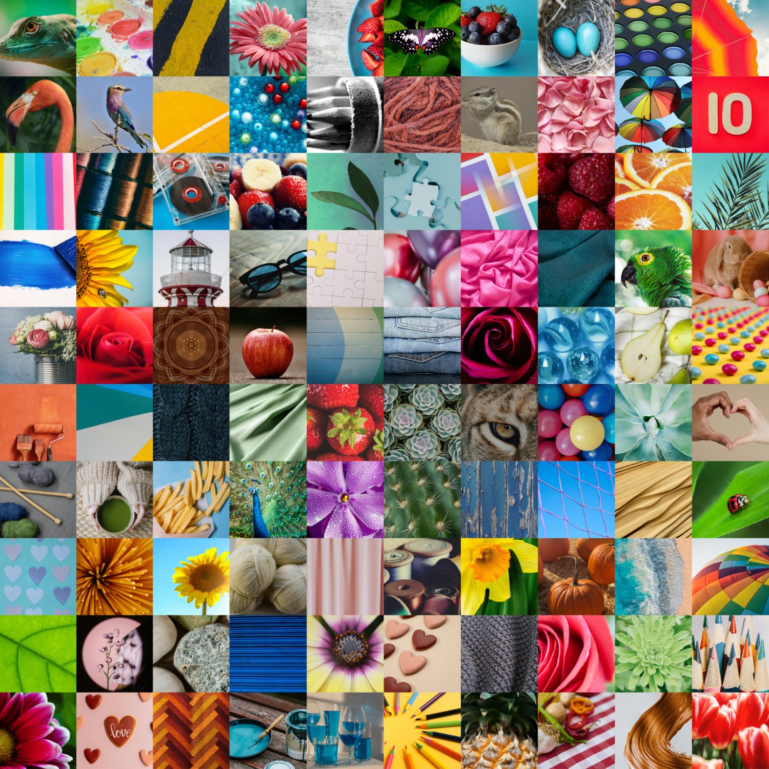 Solve Collage 3597 10x10 jigsaw puzzle online with 100 pieces