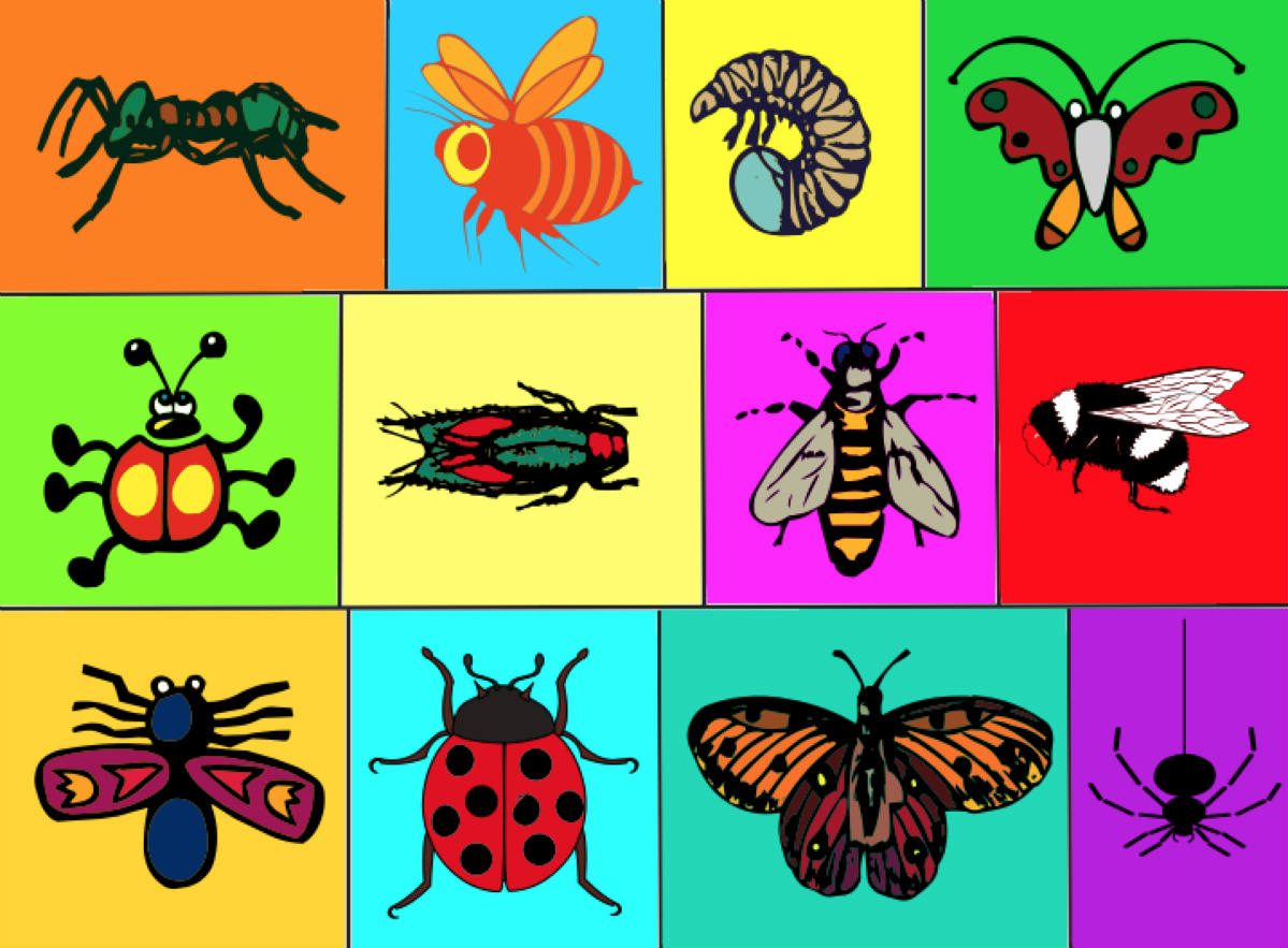 Solve Bugs and Beetles jigsaw puzzle online with 108 pieces