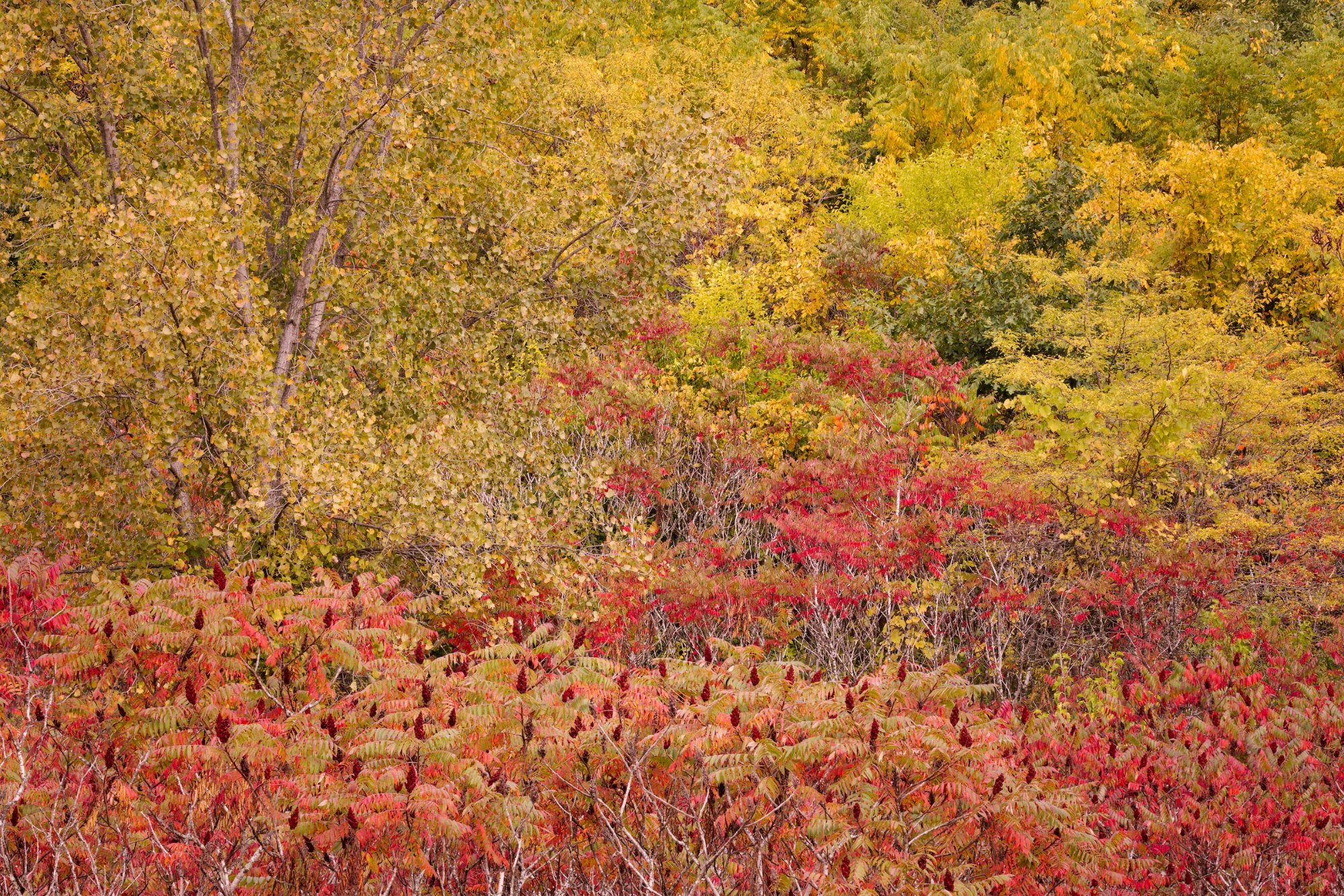 Solve Marietta, WI, USA. Autumn colors jigsaw puzzle online with 70 pieces
