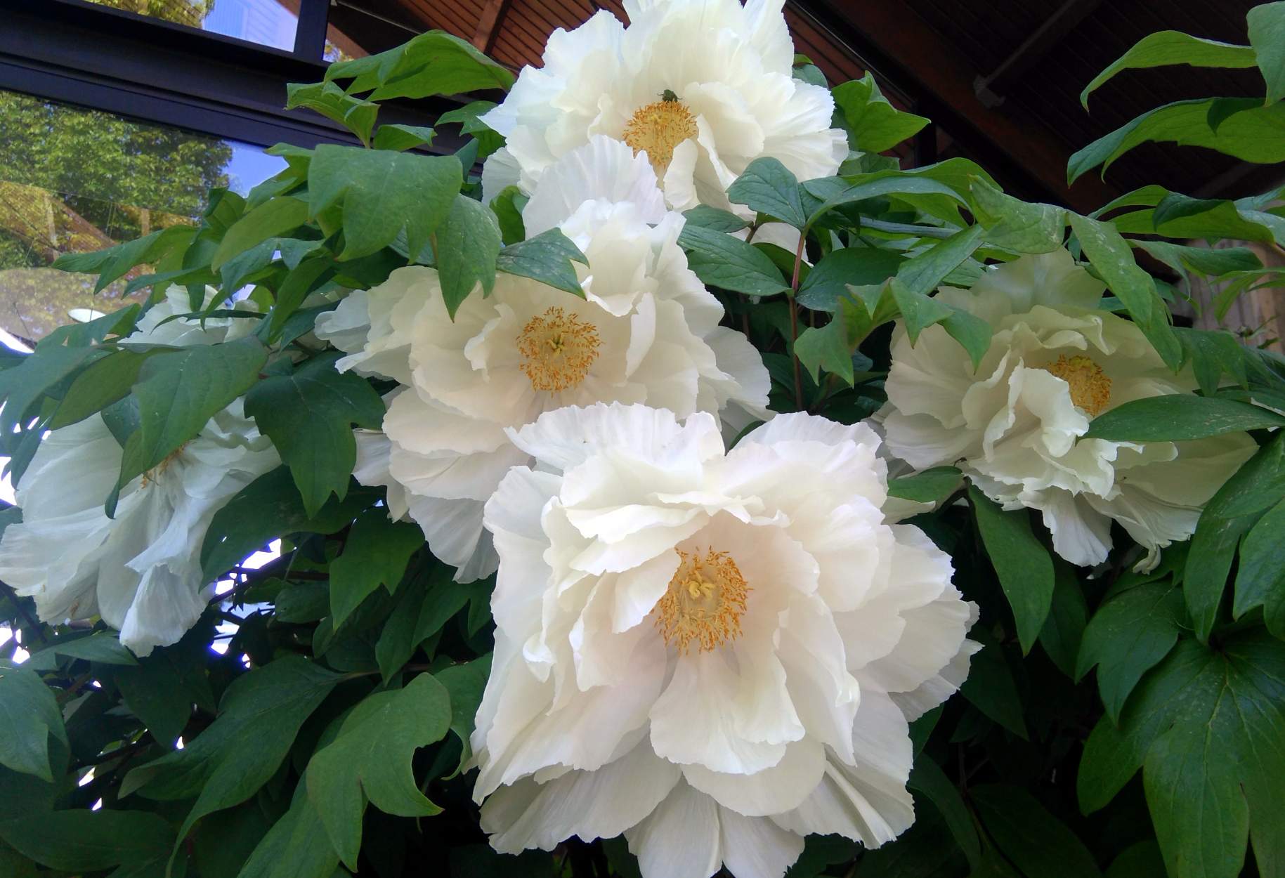 Solve Have a nice weekend! jigsaw puzzle online with 150 pieces