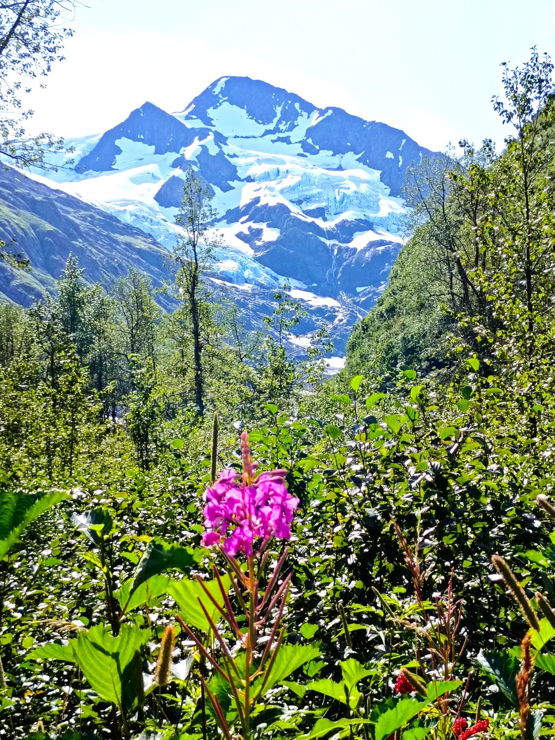 Jigsaw Puzzle | 63 pieces | Felice's Alaska Adventure 1 | Jigidi