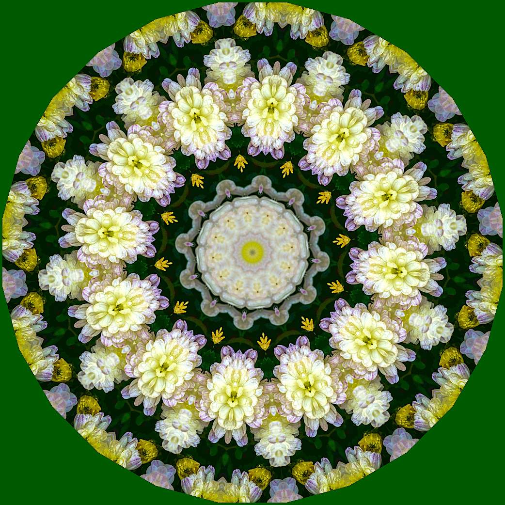 Solve #1 very small jigsaw puzzle online with 25 pieces