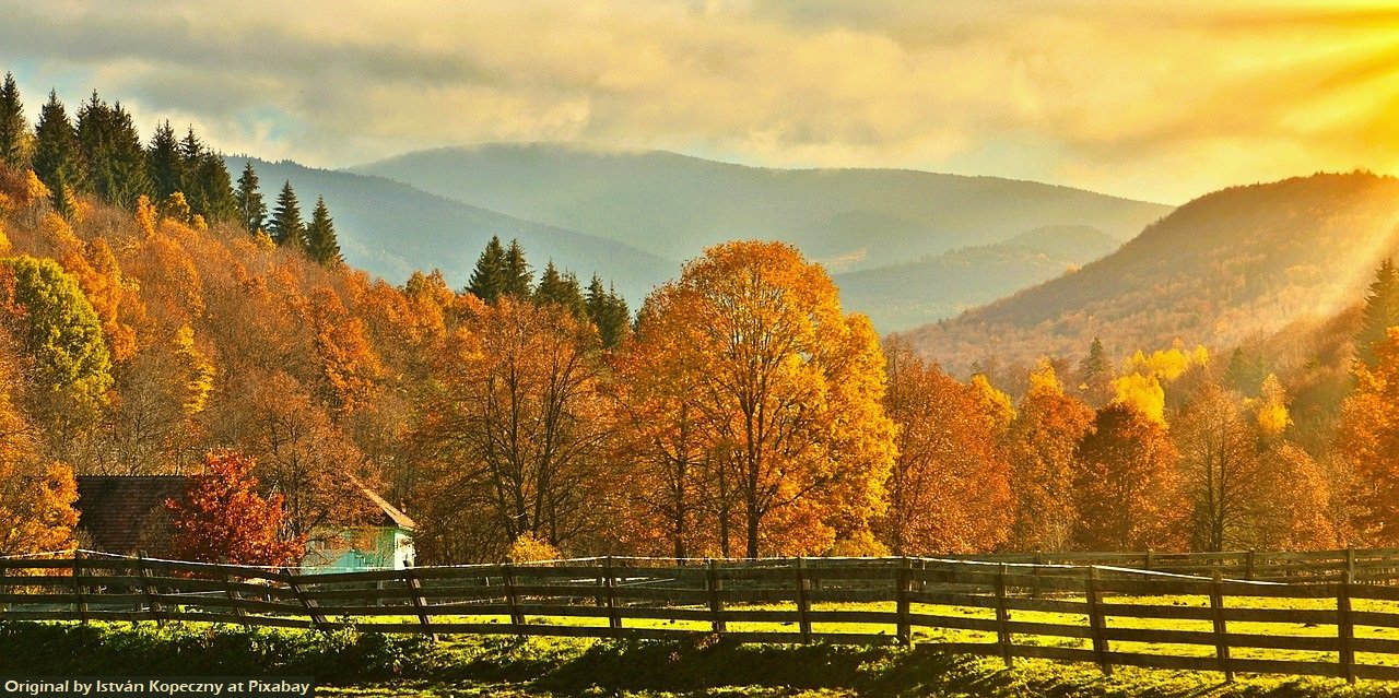 Solve Autumn landscape 🍂 jigsaw puzzle online with 50 pieces