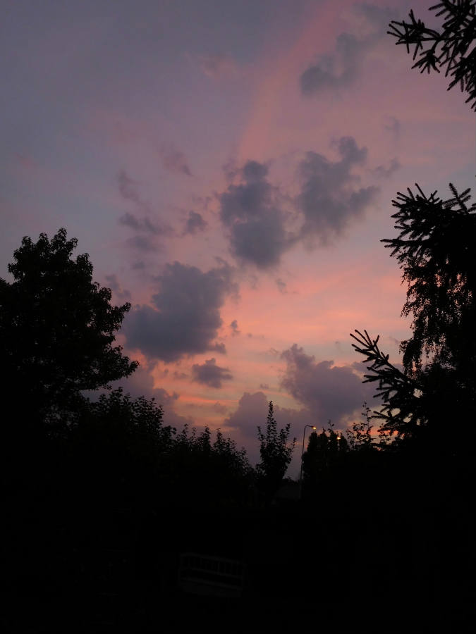 Solve This evening: the end of heat-wave? jigsaw puzzle online with 30 ...