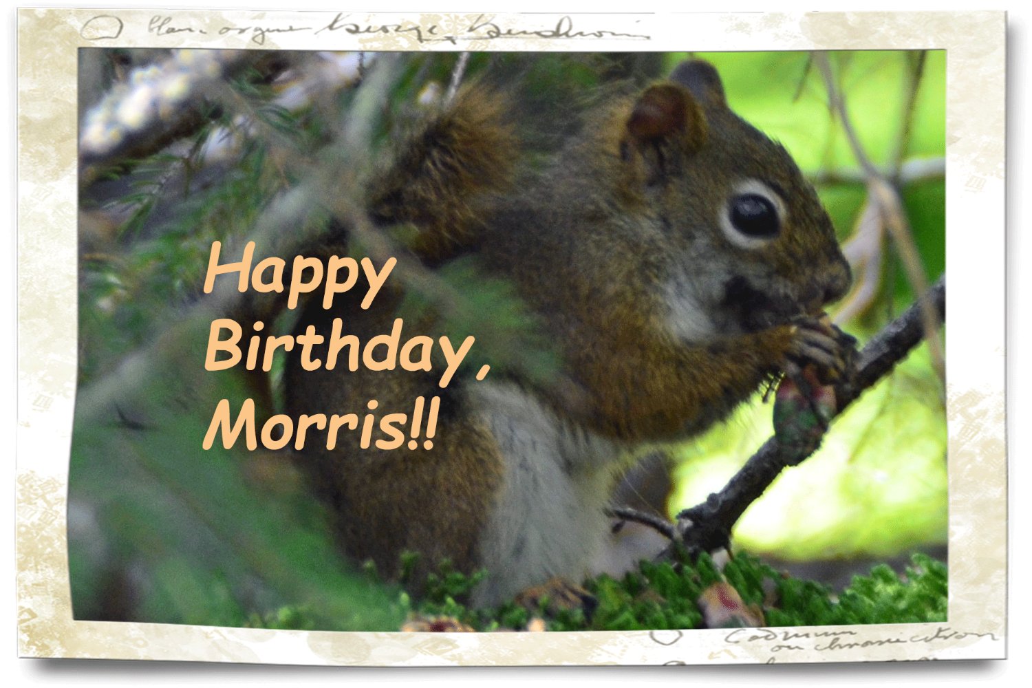 Solve Happy Birthday Morris jigsaw puzzle online with 15 pieces