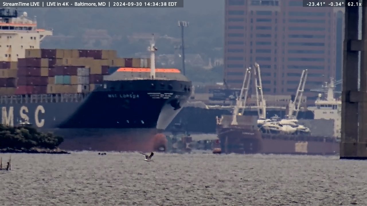 Solve Container ship MSC Lorena, leaving Port of Baltimore 2024-09-30 ...