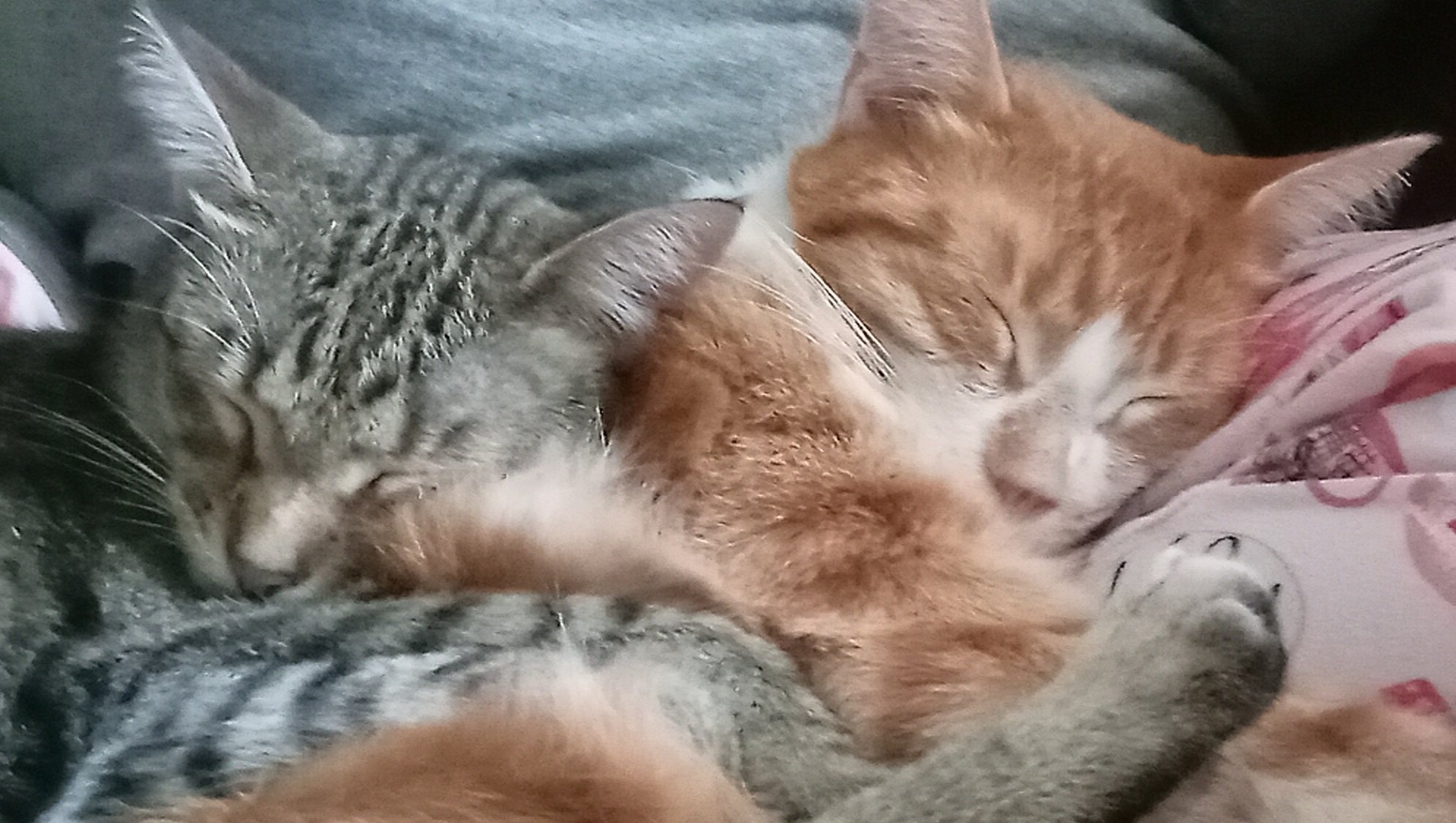 Jigsaw Puzzle | 120 pieces | Bambi and Cheeto | Jigidi