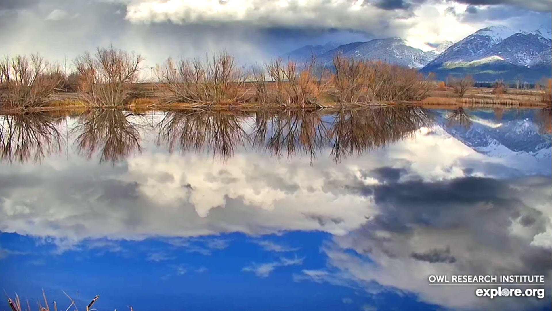 Solve 2024-11-24 Amazing Reflection jigsaw puzzle online with 144 pieces