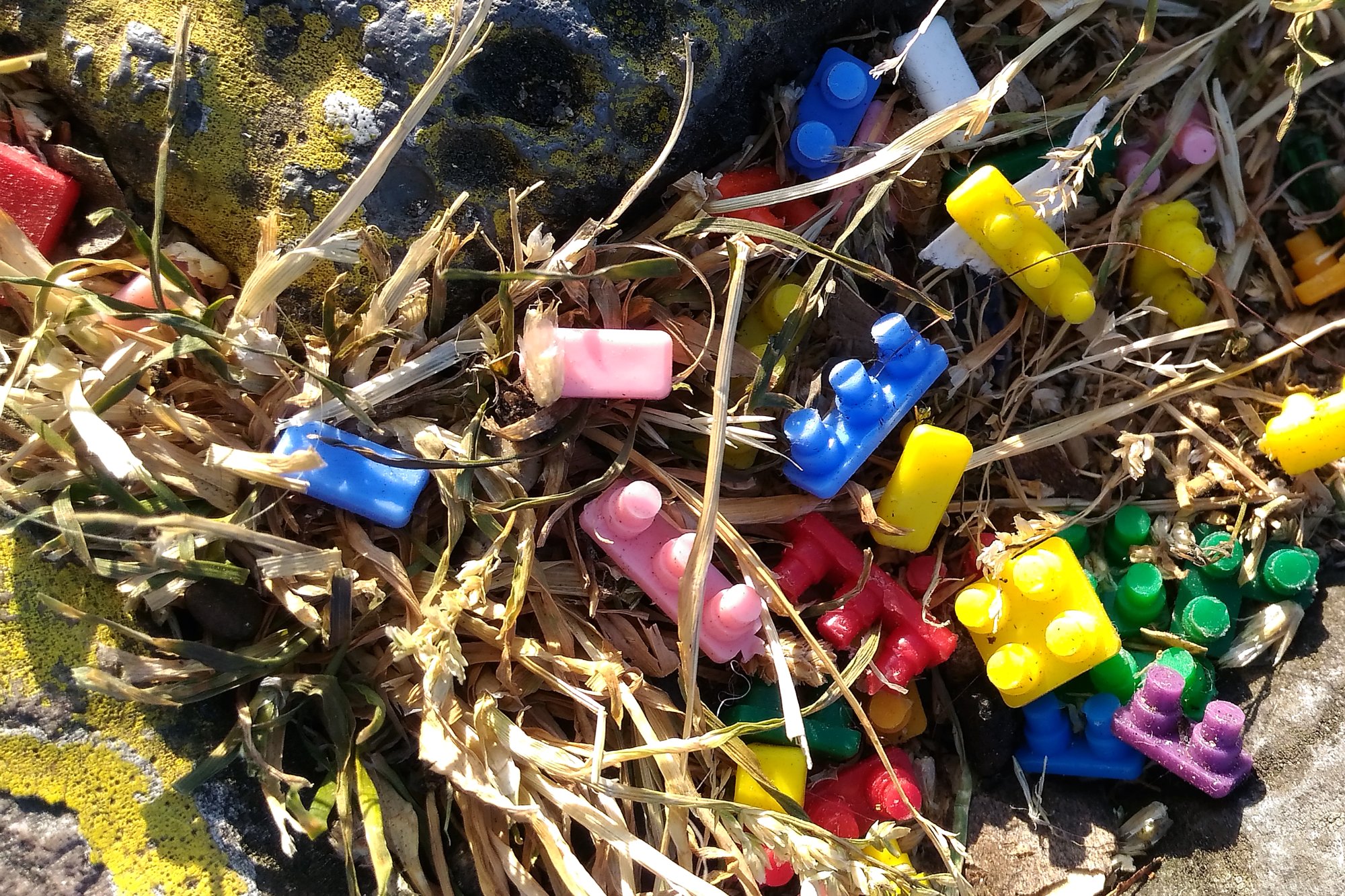 Solve these are no bricks © B a r b a r a Schneider jigsaw puzzle ...