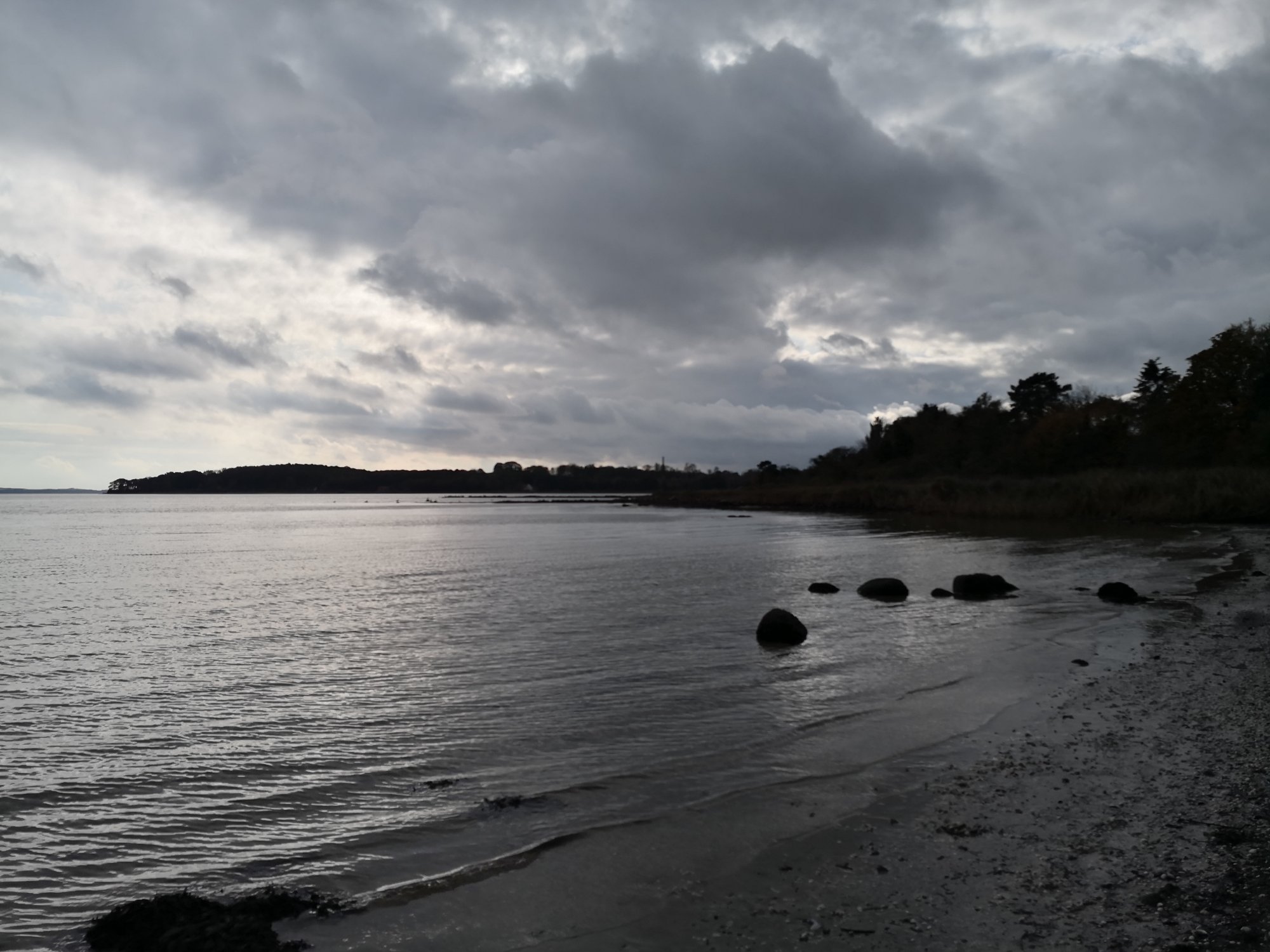 Solve 12 Giraffens Cykeltur jigsaw puzzle online with 130 pieces