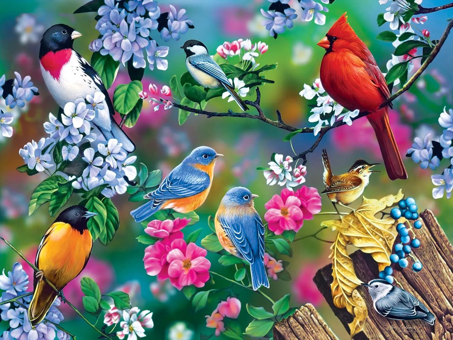 Solve Songbird Collage (X-Large) jigsaw puzzle online with 300 pieces