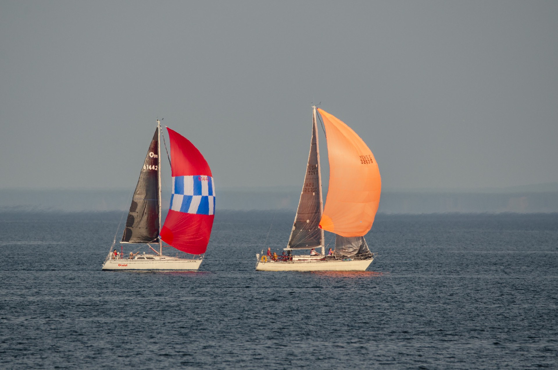 Solve Wind Blown Wednesday 05/21/25 (Colorful) jigsaw puzzle online ...