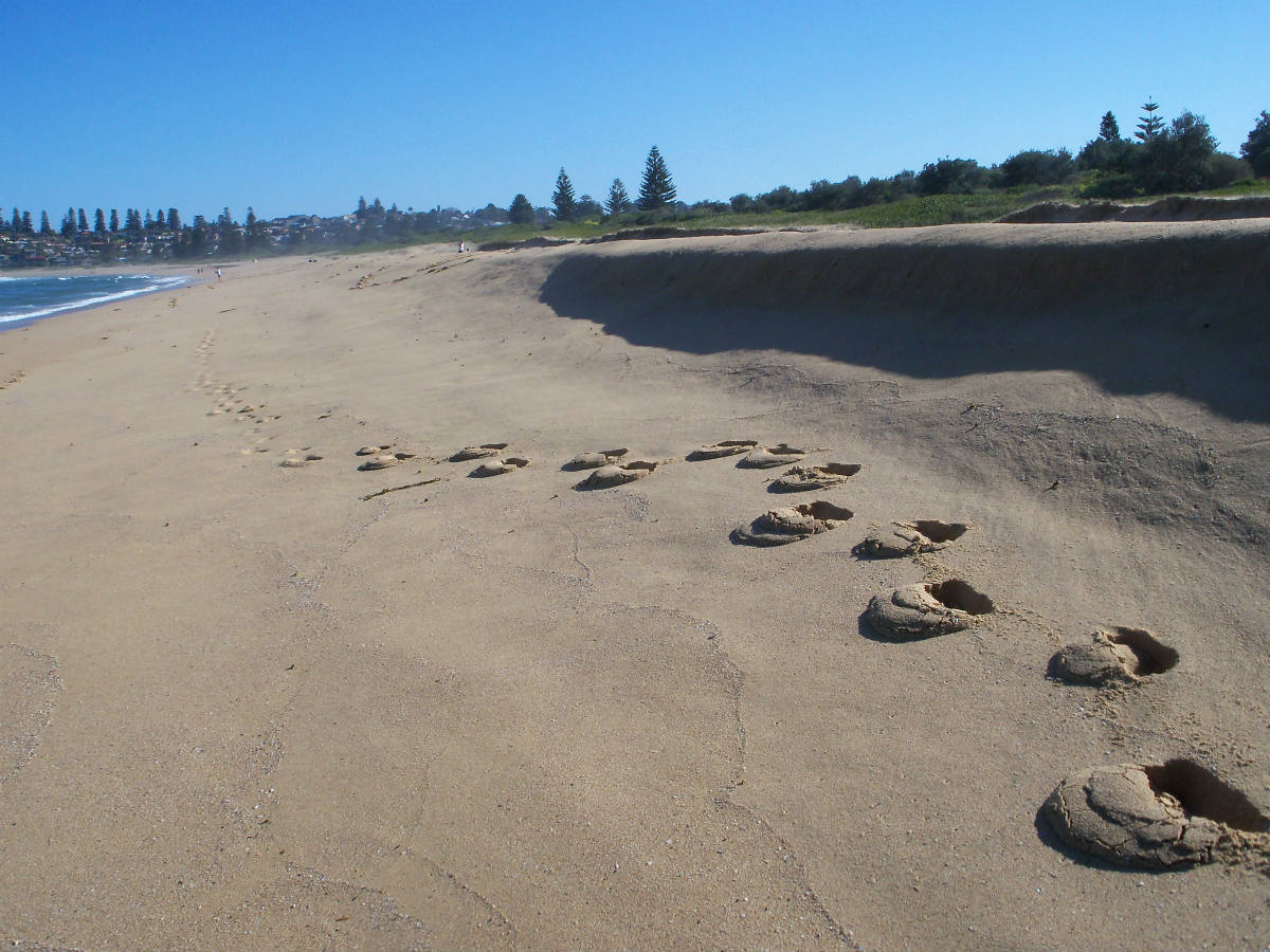 Solve Footprints in the sand jigsaw puzzle online with 88 pieces