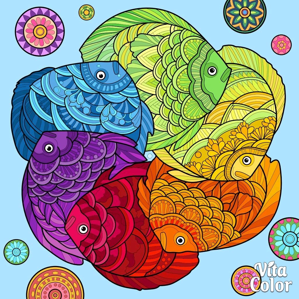 Solve Fishes . . . . . jigsaw puzzle online with 16 pieces