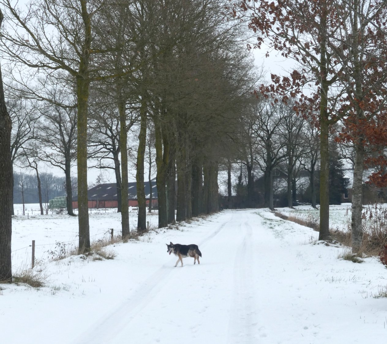 Jigsaw Puzzle | 9 pieces | 8. Jan. 2026. Shenna, enoying herself in the ...