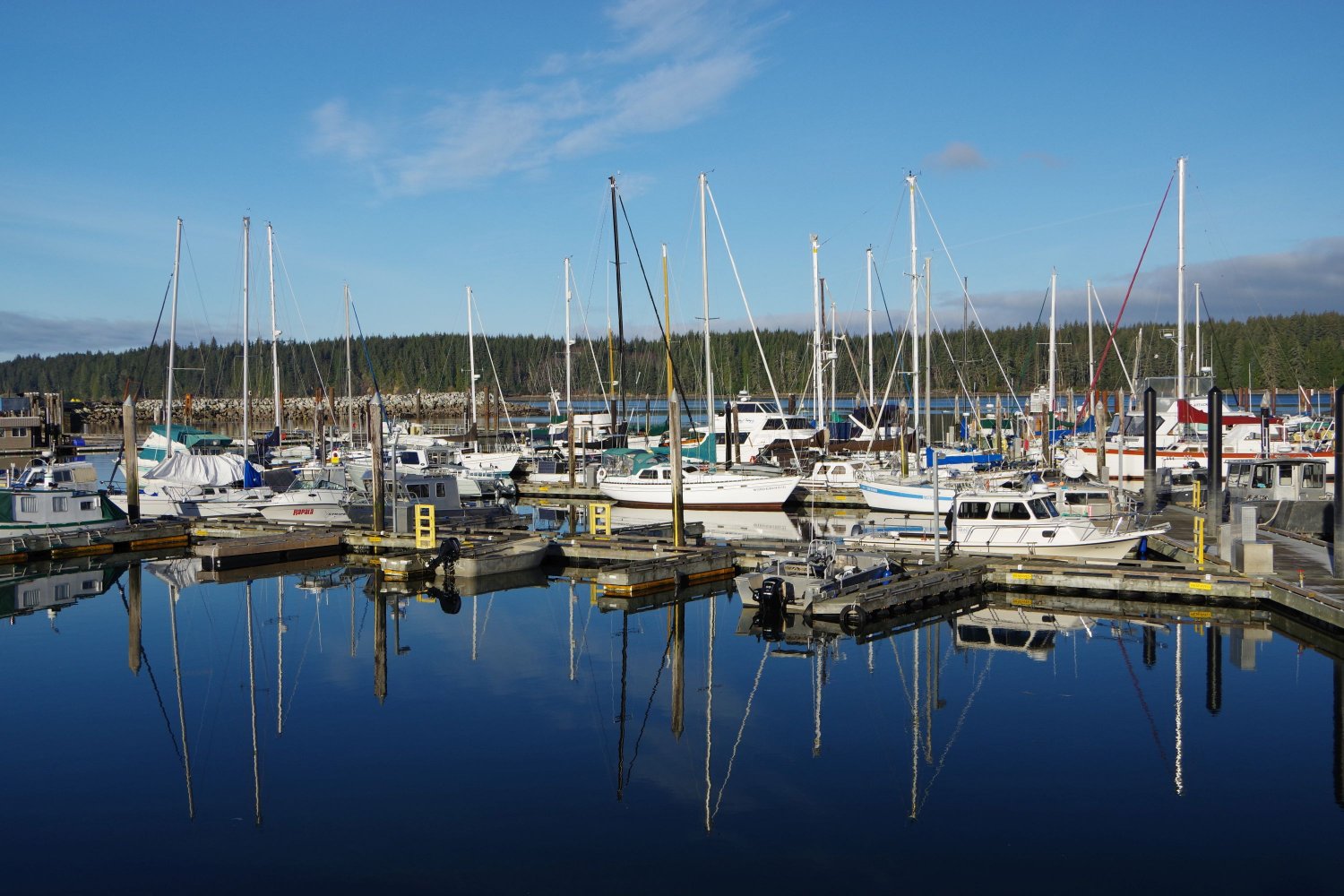 Solve Port Alice, British Columbia. jigsaw puzzle online with 12 pieces