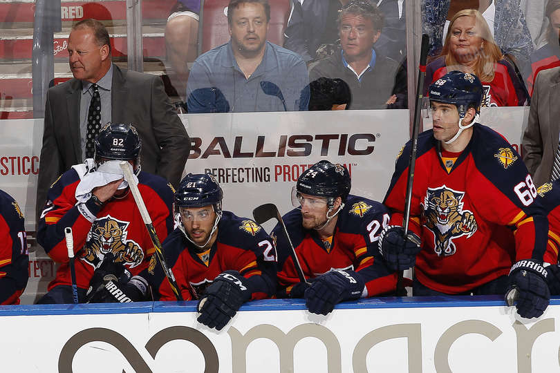 Solve Florida Panthers jigsaw puzzle online with 126 pieces