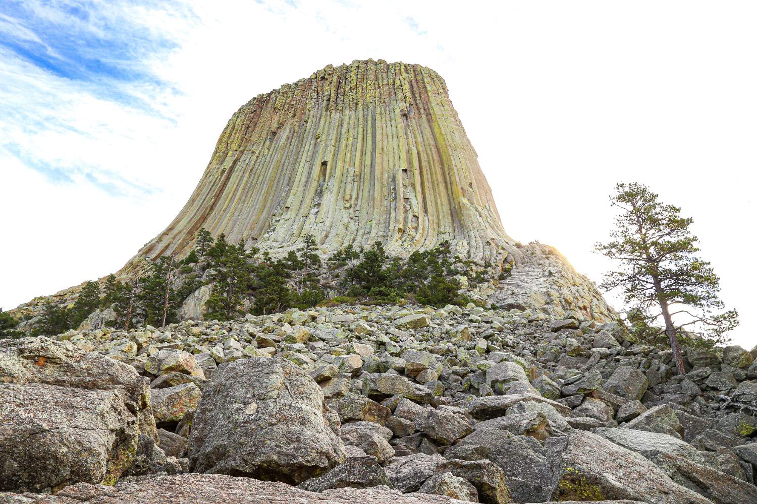 Solve DEVILS TOWER CLOSE UP jigsaw puzzle online with 96 pieces