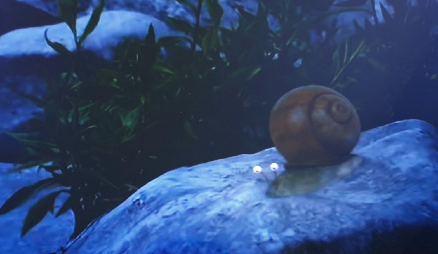 Solve A SNAIL'S DREAM ~ 11 jigsaw puzzle online with 28 pieces