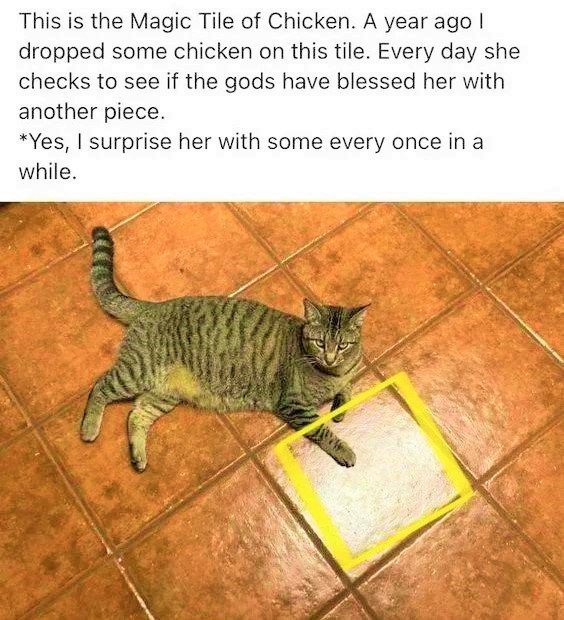 Solve Praise the Magic Tile jigsaw puzzle online with 9 pieces