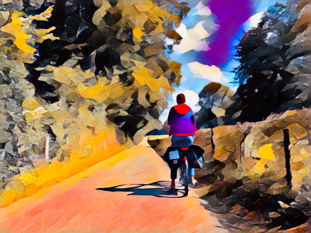 Solve A very nice ride (2) jigsaw puzzle online with 48 pieces