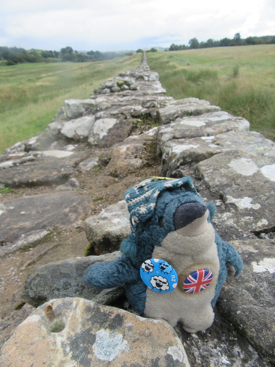 Solve Pengi in the UK 4 jigsaw puzzle online with 221 pieces