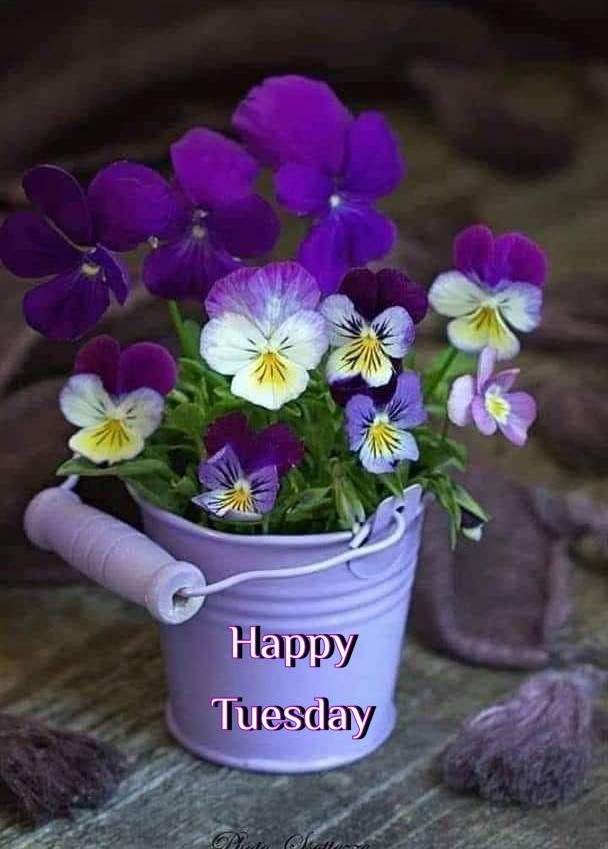 Solve Good Morning - Happy Tuesday! jigsaw puzzle online with 70 pieces