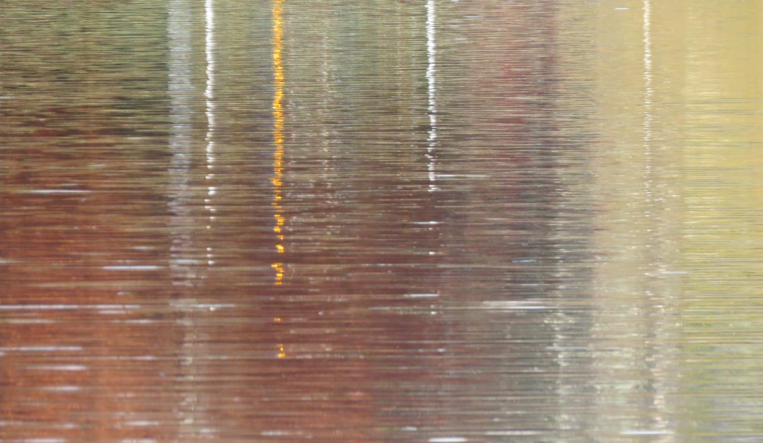 Solve Reflections jigsaw puzzle online with 84 pieces